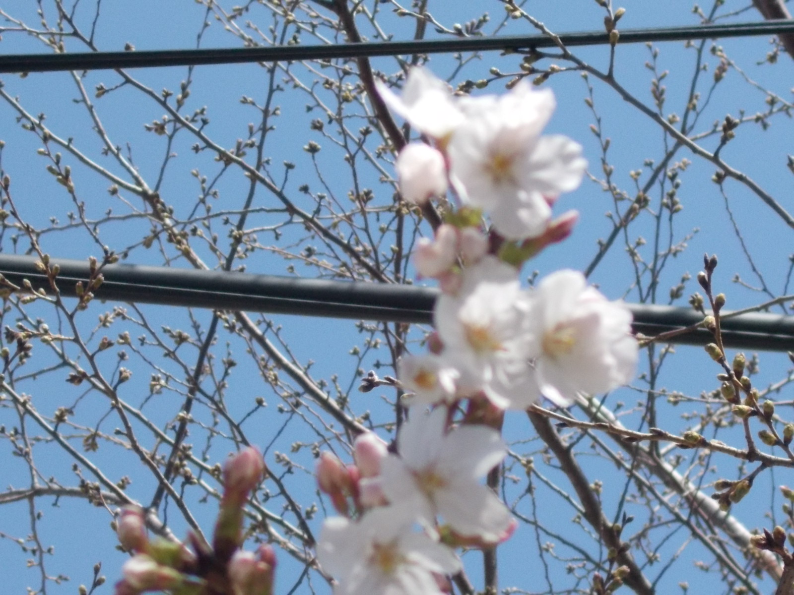 2022年度 行事予定｜スタッフブログ｜ALSOK介護株式会社